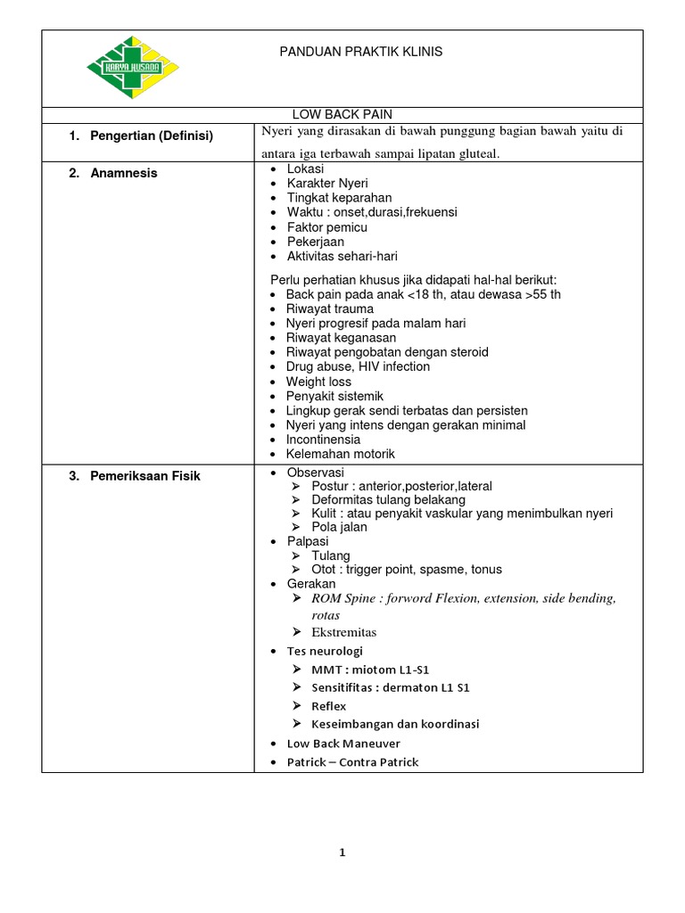 PPK Low Back Pain | PDF