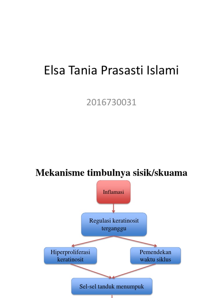 Mekanisme Skuama | PDF