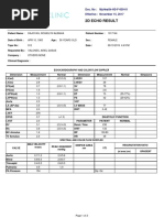 Template Echoreport | PDF