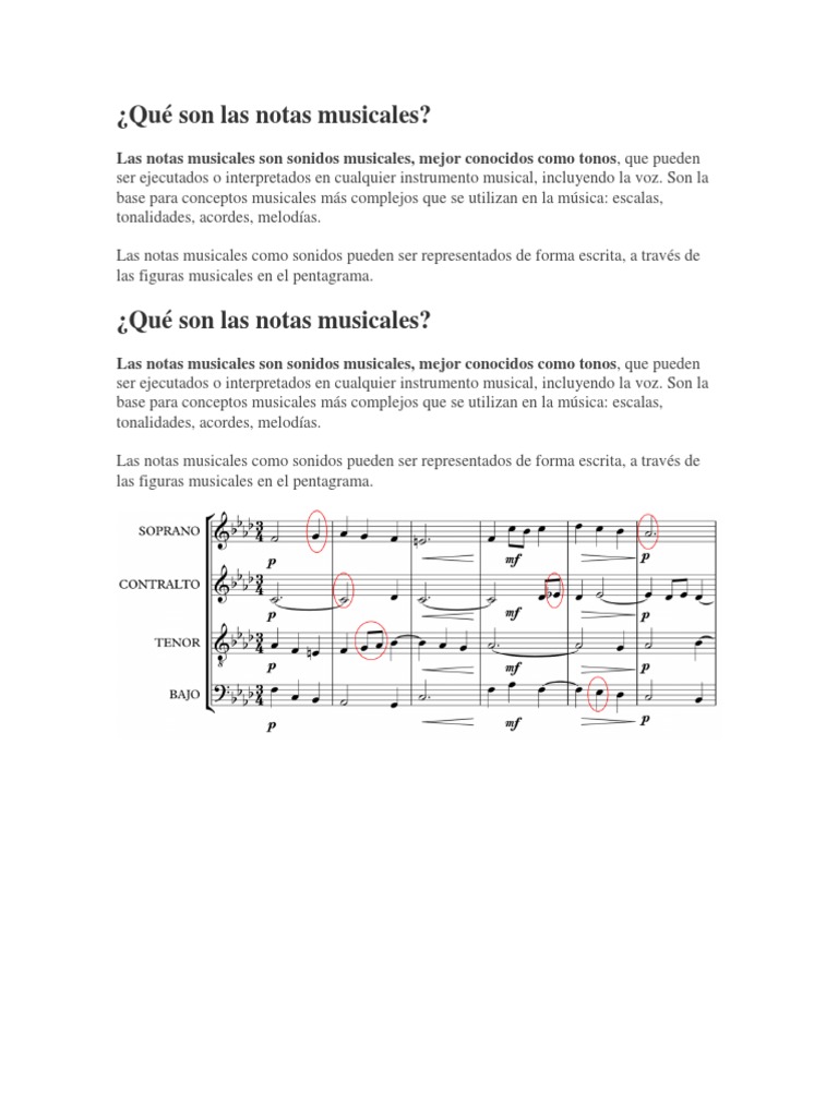 Qué Son Las Notas Musicales | PDF
