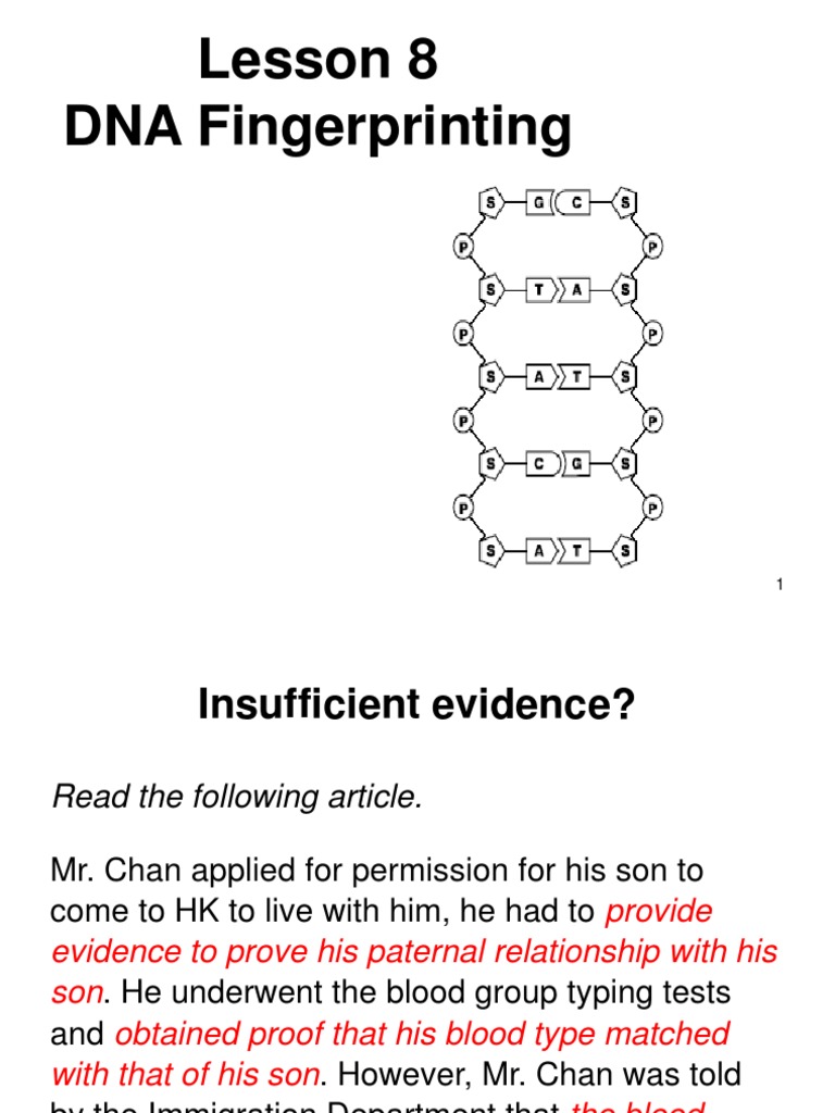 DNA Fingerprinting | PDF | Gel Electrophoresis | Restriction Enzyme