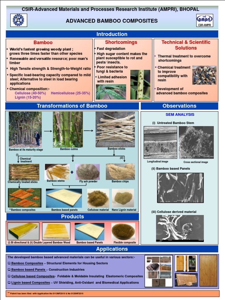 Poster of Science Exhibition | PDF | Bamboo | Composite Material