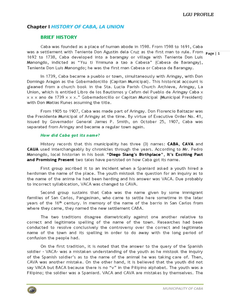 Lgu Profile 2019-2022 | PDF | Loam | Soil