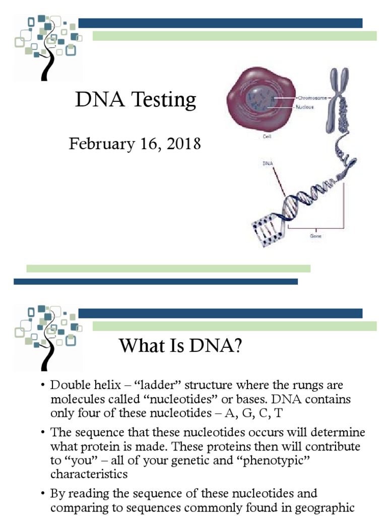 Dna Testing | PDF | Dna | Kinship And Descent