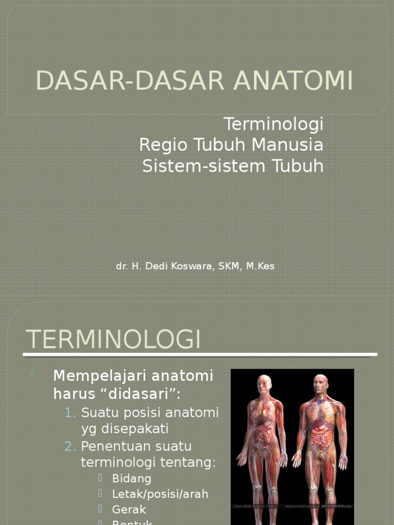 Terminologi dan Sistem Anatomi | PDF | Kajian Bahasa Asing