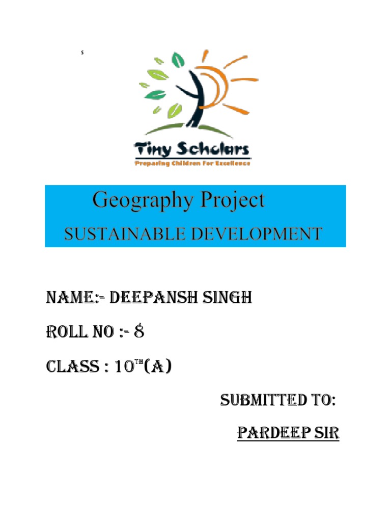 Project On Sustainable Devlopment | PDF | Sustainability | Sustainable ...