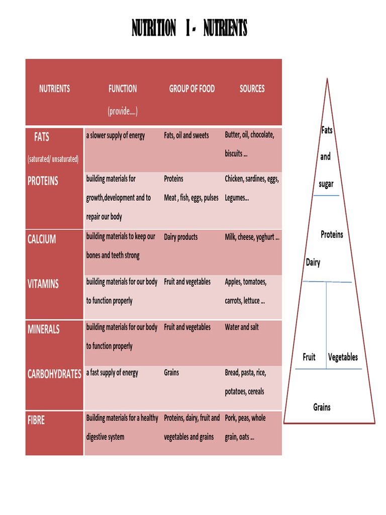 The Essential Nutrients: Functions, Food Sources and Groups | PDF