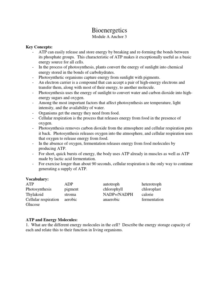 BIO Mod1 Bioenergetics PDF | PDF | Cellular Respiration | Photosynthesis