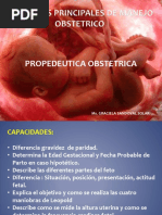 Efecto Poseiro en el Embarazo | PDF | Placenta | Feto