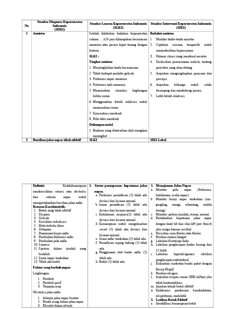 Panduan Intervensi Keperawatan SDKI | PDF