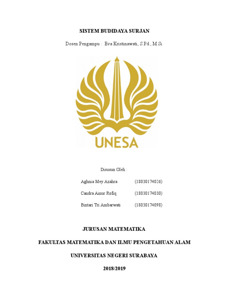 Sistem Budidaya Surjan | PDF