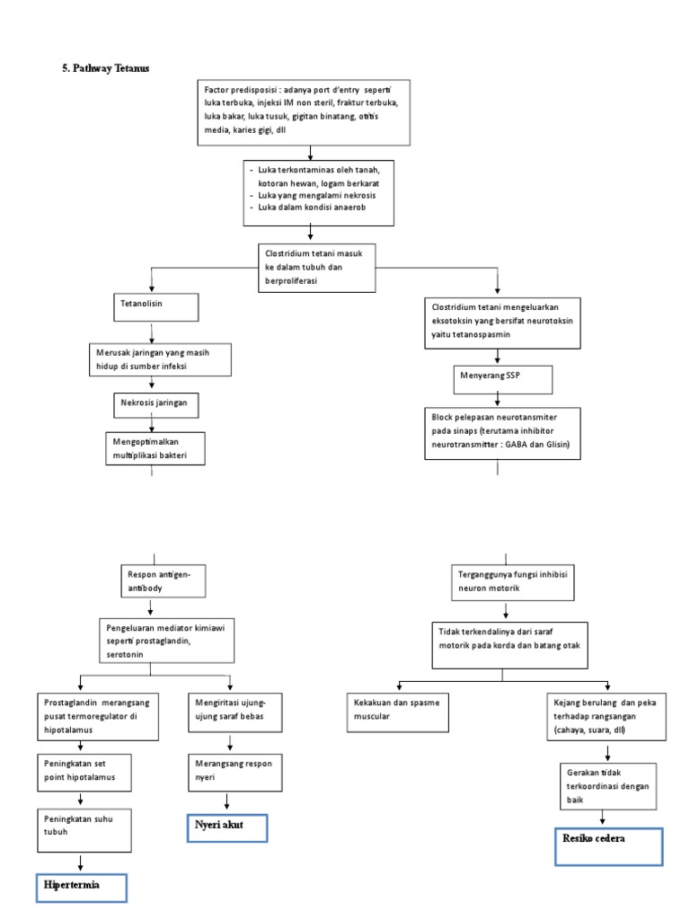 Pathway Tetanus | PDF