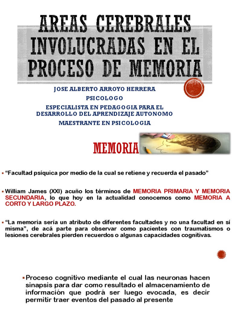 Areas Cerebrales Involucradas En El Proceso De Memoria Pdf Memoria