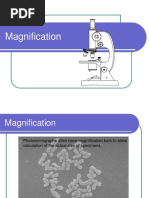 Magnification Questions | PDF | Cell (Biology) | Cell Biology