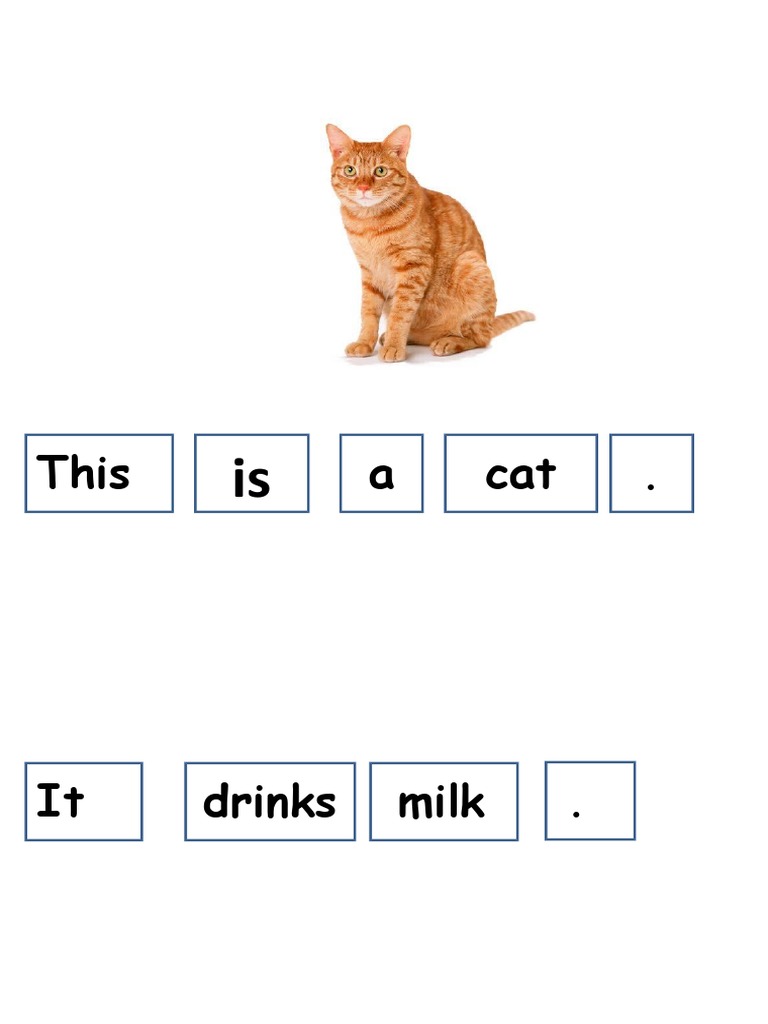 Cat Drinking Milk Facts | PDF