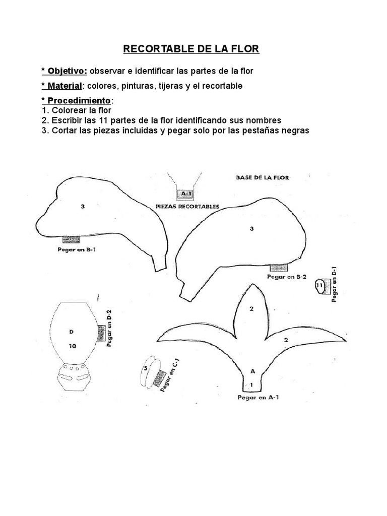 Recortable de La Flor | PDF