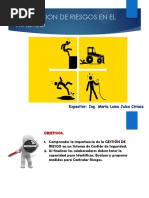 Bs 8800 | PDF | Riesgo | Evaluación