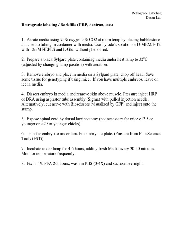 Retrograde Labeling Protocol | PDF | Chemistry | Chemical Substances