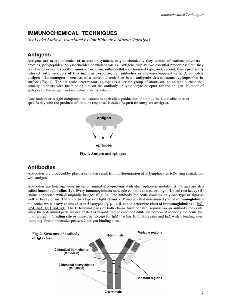 Immunochemical Methods | PDF | Elisa | Immunoassay