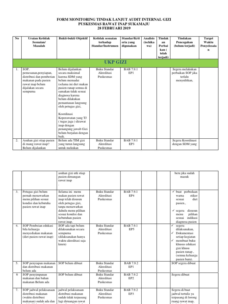 Form Monitoring Audit Gizi | PDF