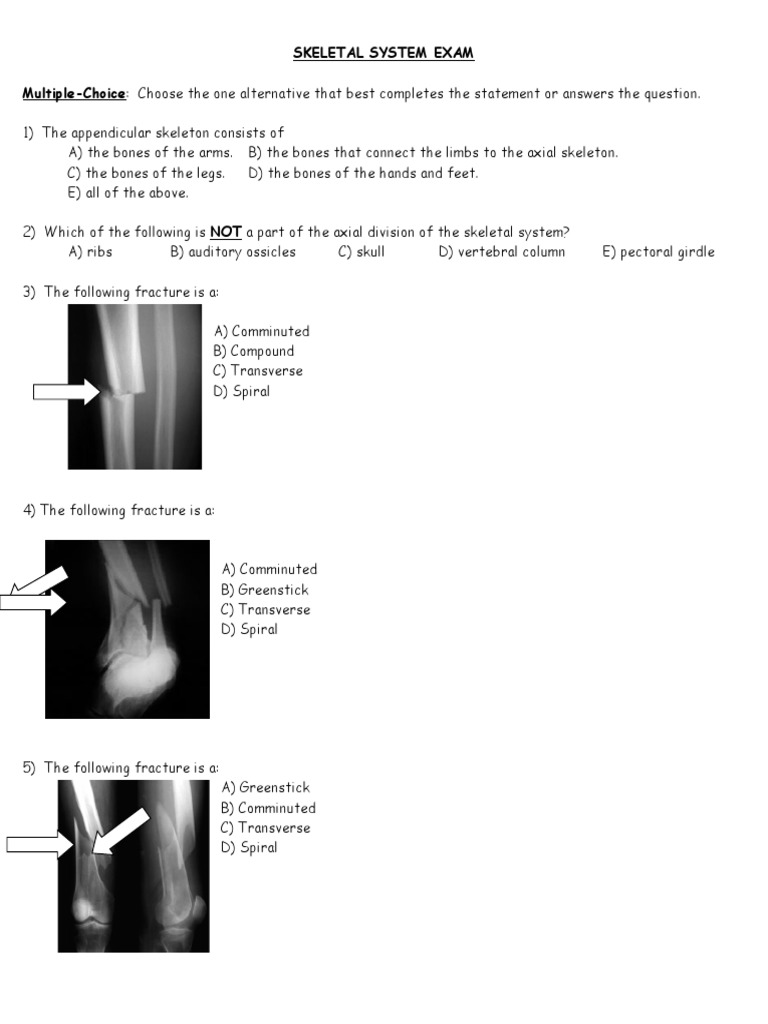 Skeletal System Exam | PDF | Bone | Skull