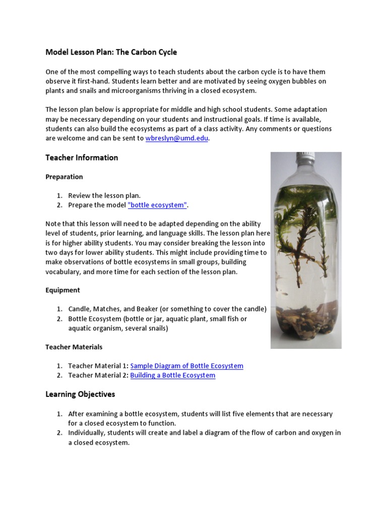 Carbon Cycle Lesson Plan for Students | PDF | Ecosystem | Carbon Dioxide