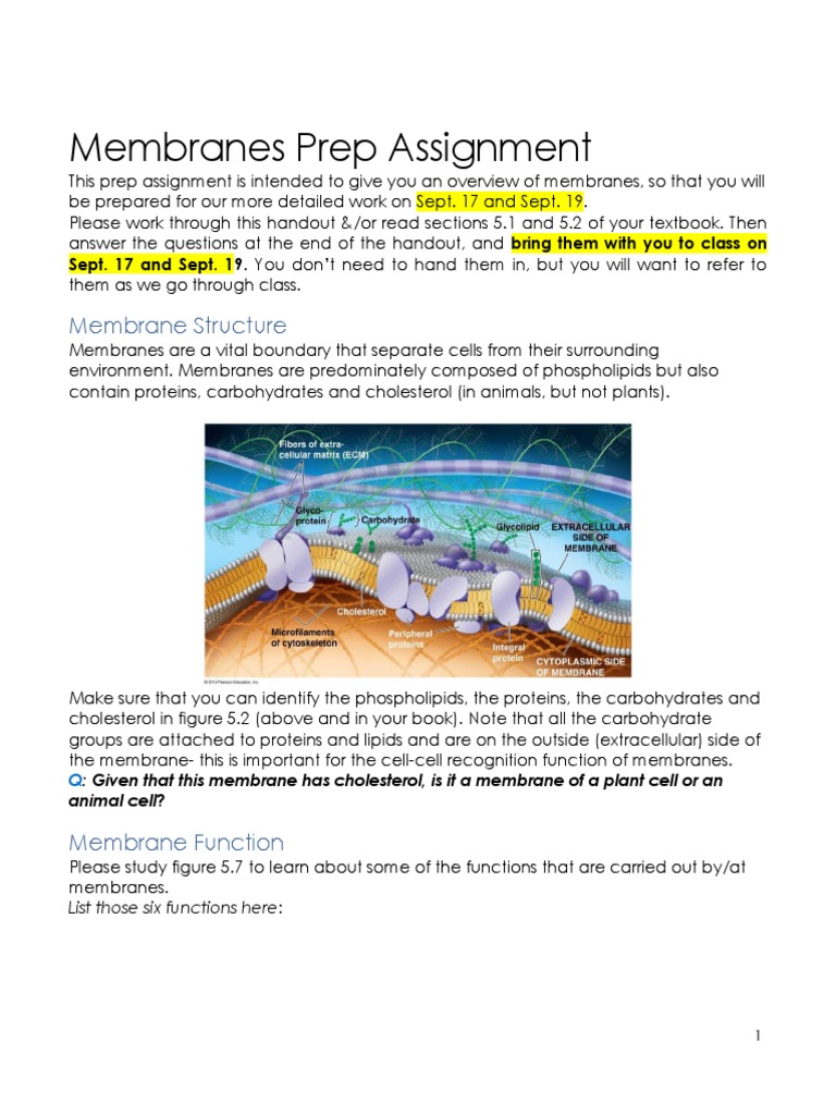 Membranes Prep Overview | PDF | Cell Membrane | Osmosis