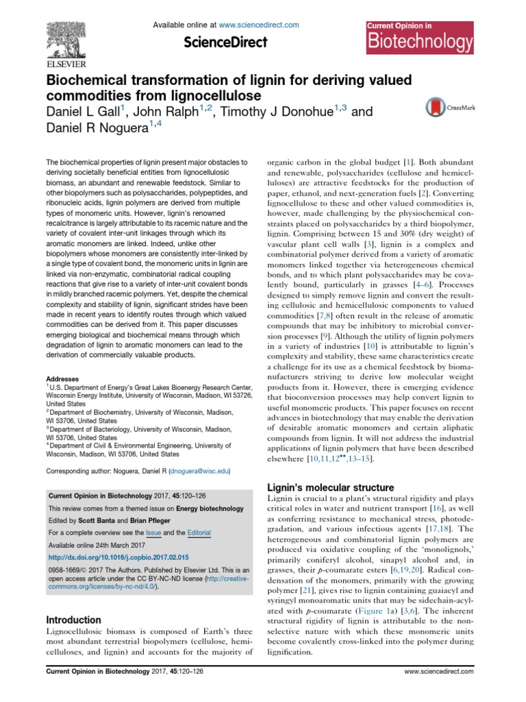 Lignina PDF | PDF | Lignin | Biopolymer