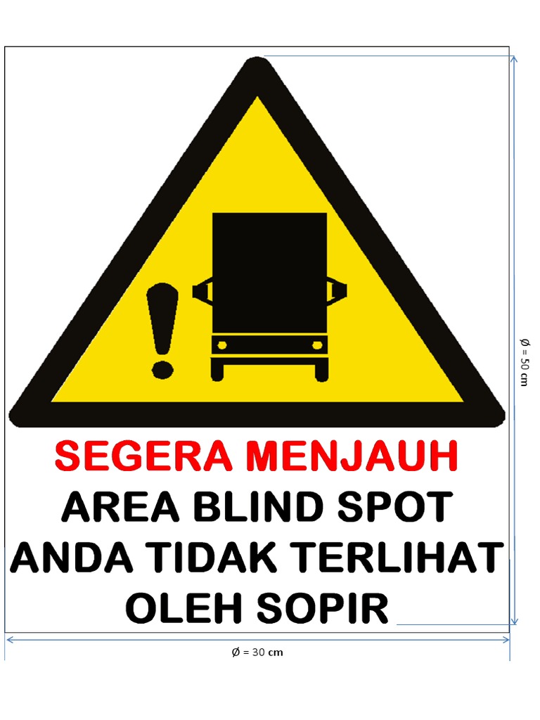 Blind Spot | PDF