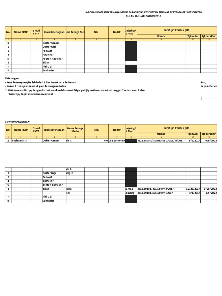 Form - Bpjs Lap. Data Tenaga Medis FKTP-1 Feb | PDF