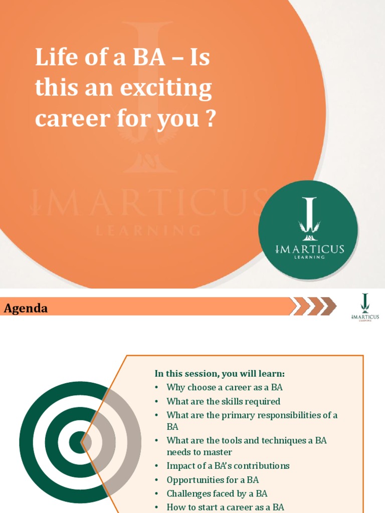 Career Insights for Business Analysts | PDF | Business Analysis ...