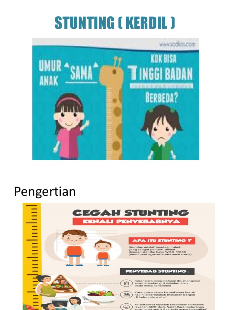 Powerpoint Stunting | PDF