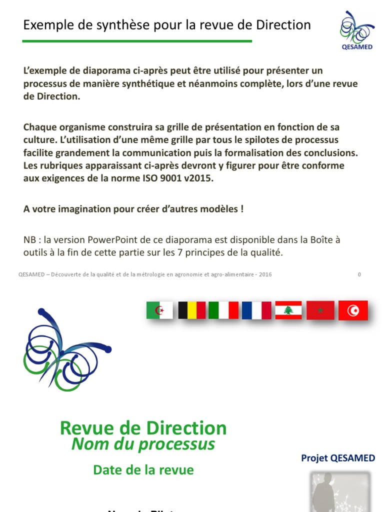 Exemple Revue de Processus | PDF | Métrologie | Business