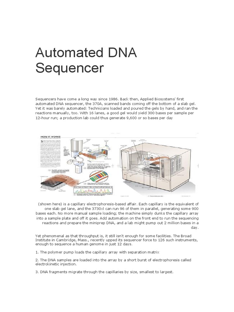 Automated DNA Sequencer
