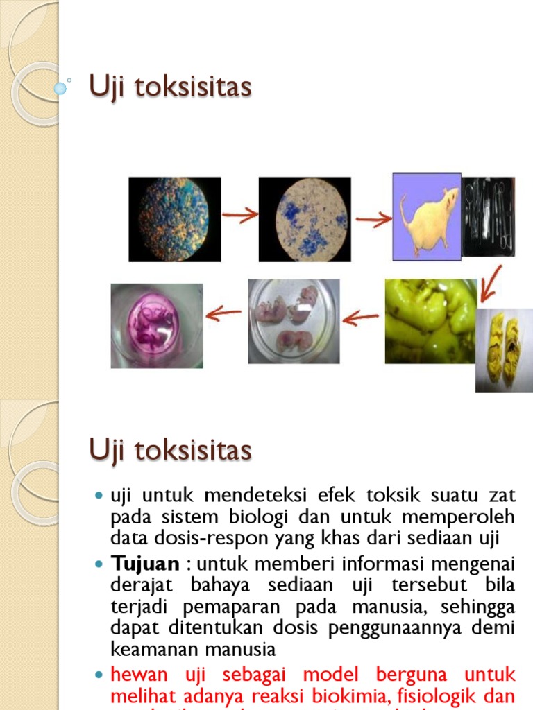 Uji Toksisitas | PDF