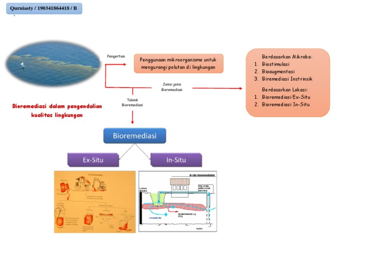 Ekologi Bioremediasi | PDF