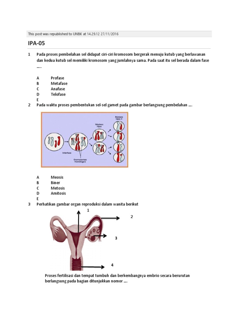 Template Soal Ipa | PDF