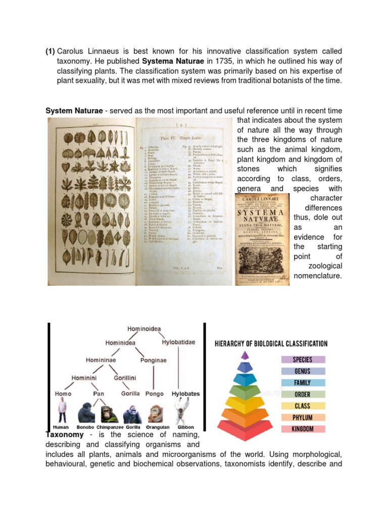 Carolus Linnaeus | PDF | Taxonomy (Biology) | Hybrid (Biology)