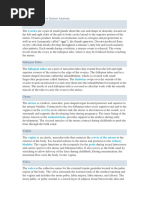 Cattle Reproductive System Overview | PDF | Luteinizing Hormone ...