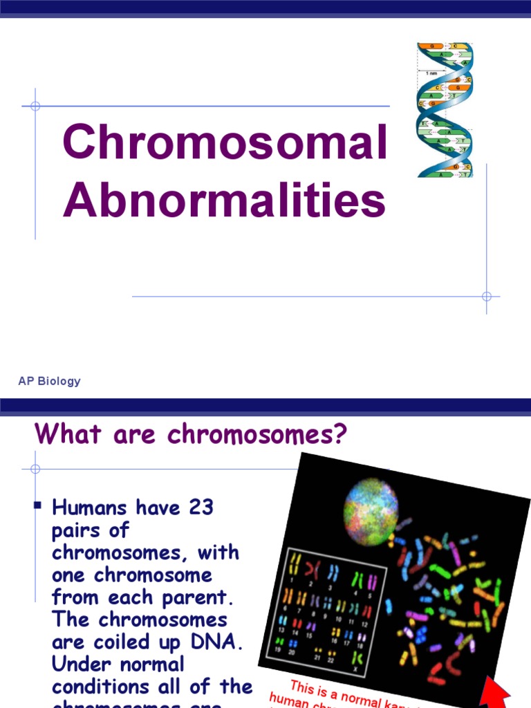 Chromosomal Aberrations: An Overview of Chromosomal Abnormalities ...