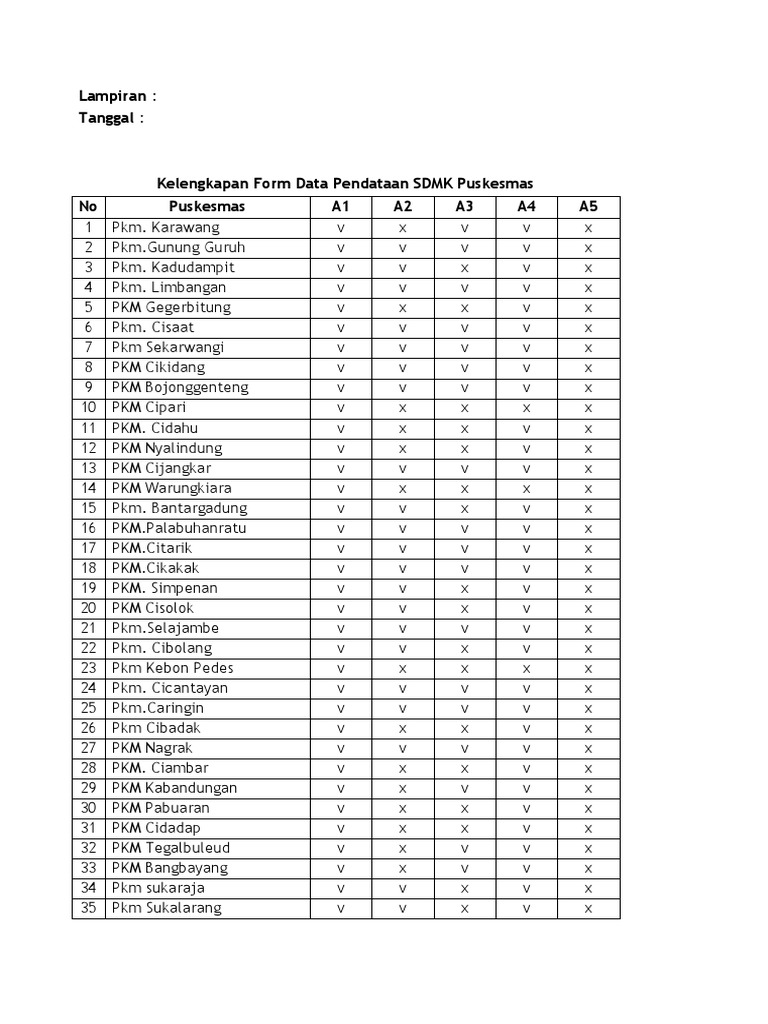 Form Data Pendataan SDMK Puskesmas | PDF