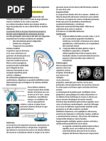 Deterioro Rostrocaudal: Etiología | PDF | Medicina | Sistema nervioso
