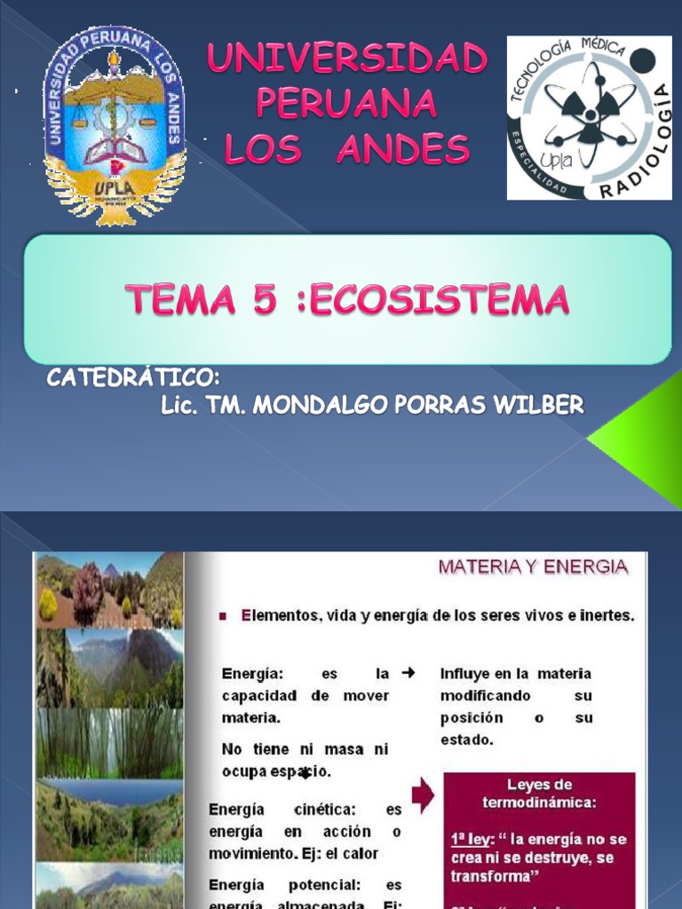 Ecosistemas: Interacciones y Cuidado | PDF | Ecosistema | Habitat