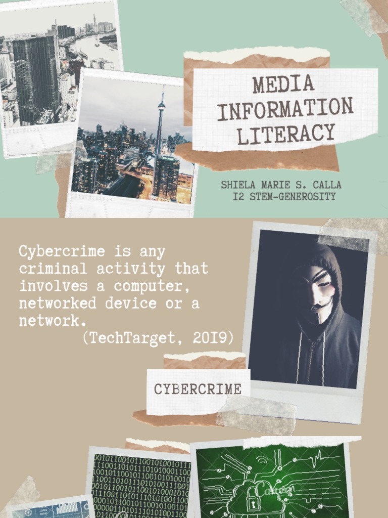Media Information Literacy | PDF | Cybercrime | Fraud