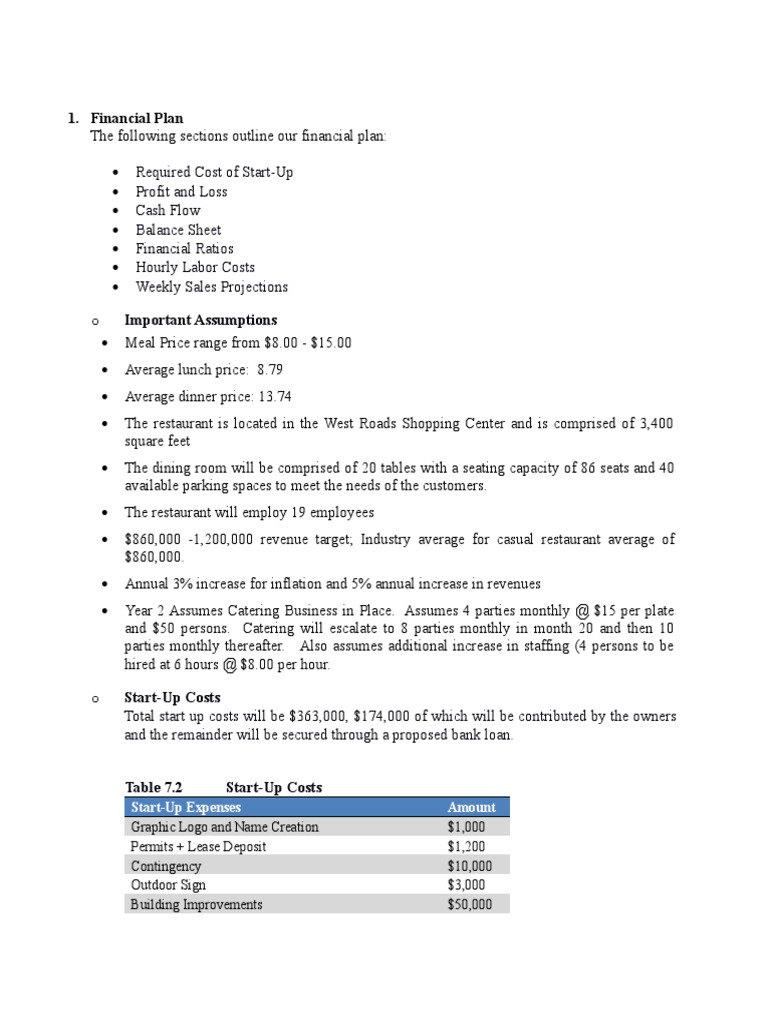 Financial Plan: Important Assumptions | PDF | Balance Sheet | Current ...