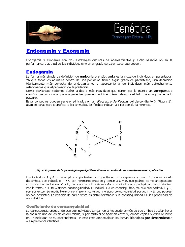 Definición y Consecuencias de Endogamia | PDF | Endogamia | Dominancia ...