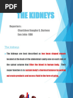 Lesson 16 - What Are The Functions of The Kidneys | PDF | Kidney ...