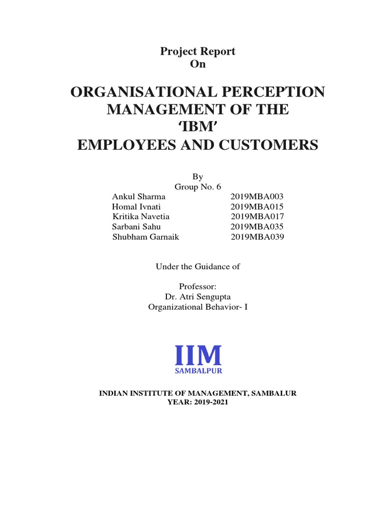 Organization Perception | PDF | Watson (Computer) | Marketing
