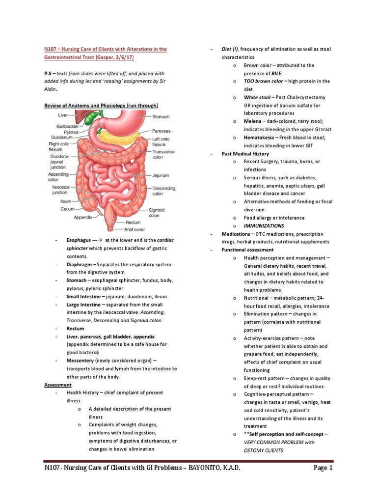 GI Nursing | PDF | Esophagus | Gastrointestinal Tract
