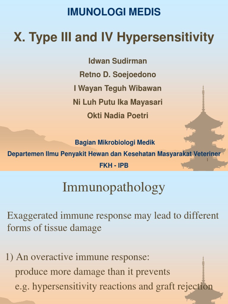 Type III and IV Hypersensitivity Rev. 02 | PDF | Immune System | Macrophage